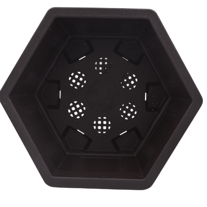 Hexagonal Bonsai Pot | Plastic Taiwanese Pot | Deep Training Pot For I